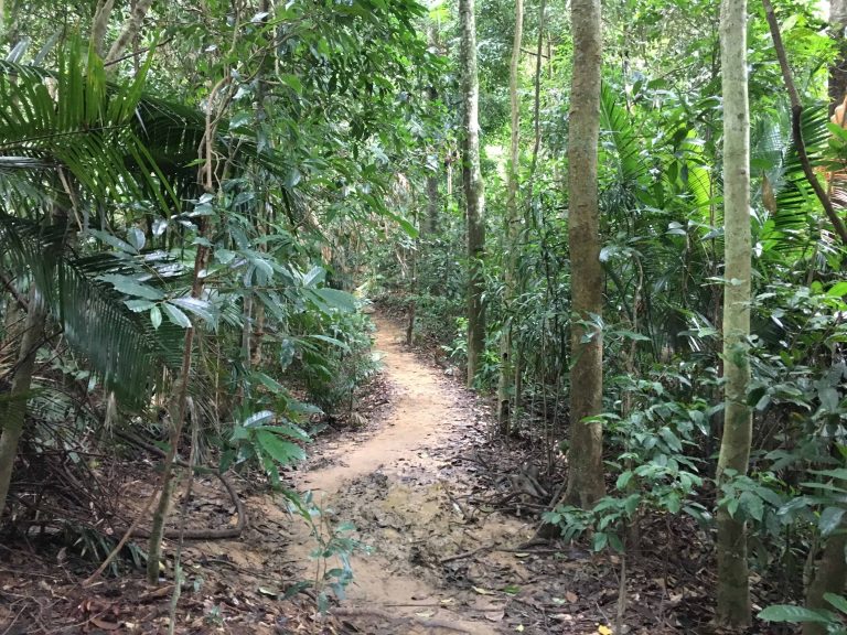 Hiking di Gunung Datuk Rembau Negeri Sembilan - Afiq Halid